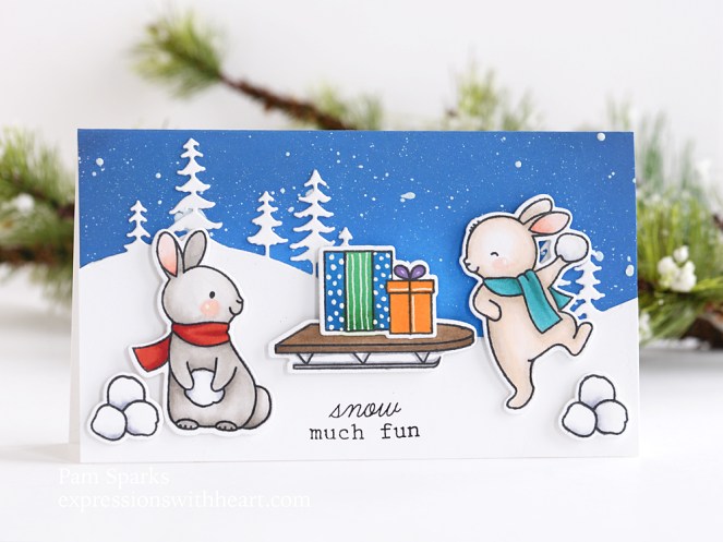 Memory Box Snow Much Fun Birthday Card…