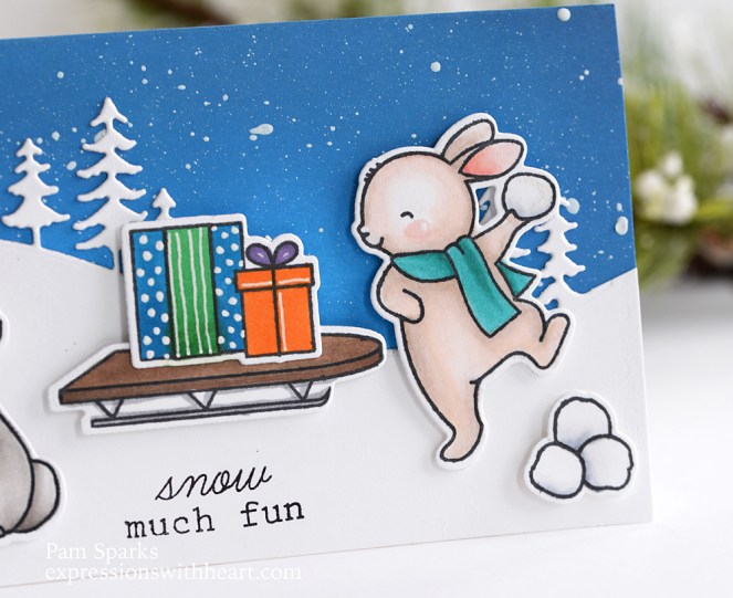 Memory Box Snow Much Fun Birthday Card…